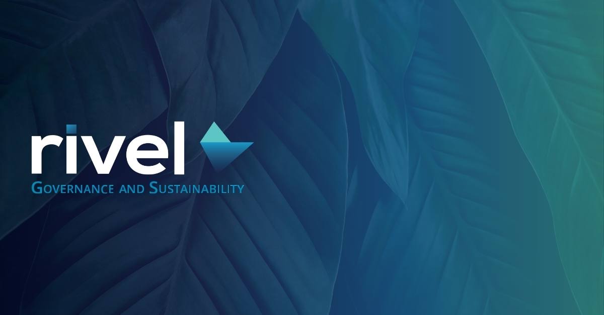 Navigating the Current DEI Landscape - Rivel